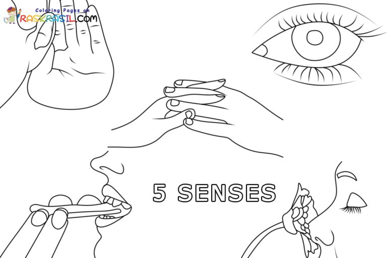 Coloriage Les 5 Sens à imprimer