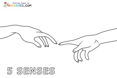 5 Senses Coloring Pages