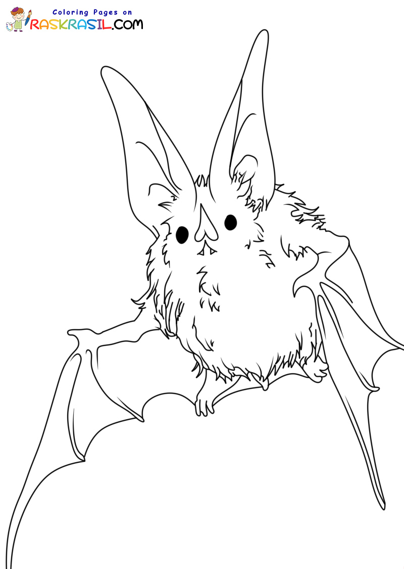 Kolorowanki Nietoperze | Darmowe Malowanki do wydruku