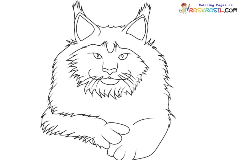 Cat Coloring Pages | Free Printables