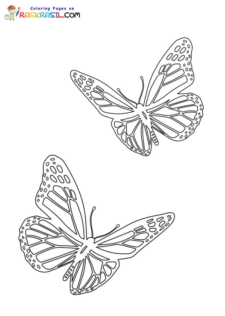 Kolorowanki Motyl | Darmowe Malowanki do wydruku