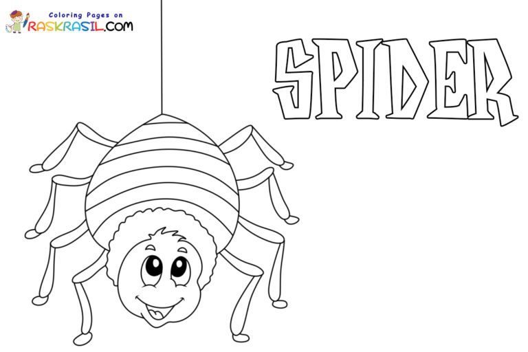 Spiders Coloring Pages