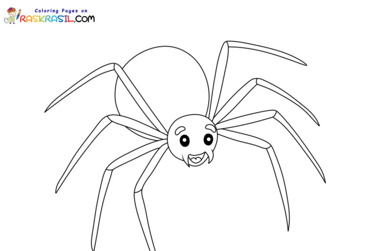 Spiders Coloring Pages