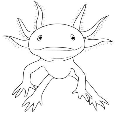 Axolotl Coloring Pages
