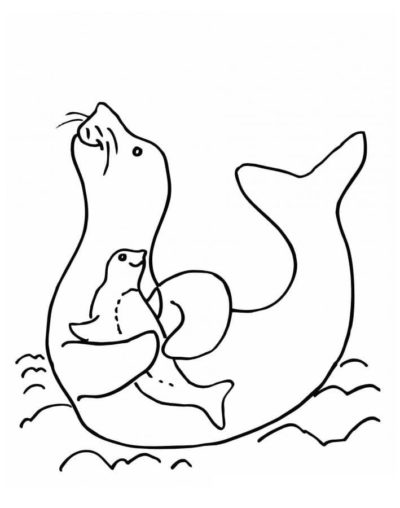 Dibujos de Focas para Colorear