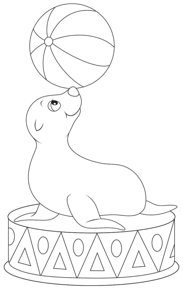 Ausmalbilder Robben | Kostenlos Malvorlagen zum Ausdrucken