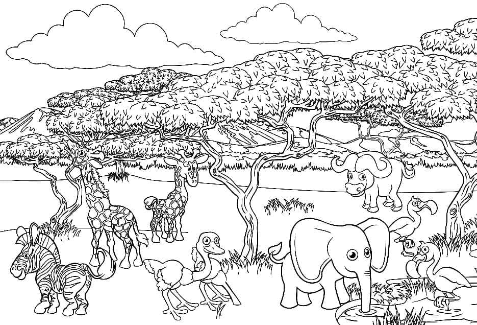 Dibujos de Animales de la Selva para Colorear