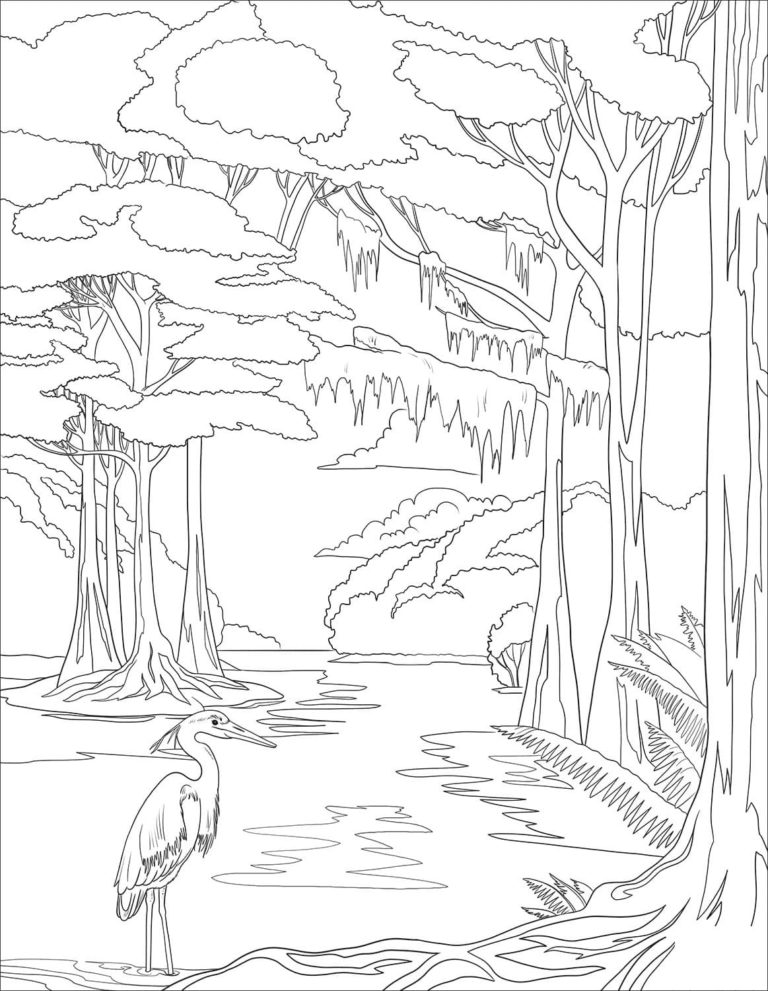 Coloriage Forêt à imprimer