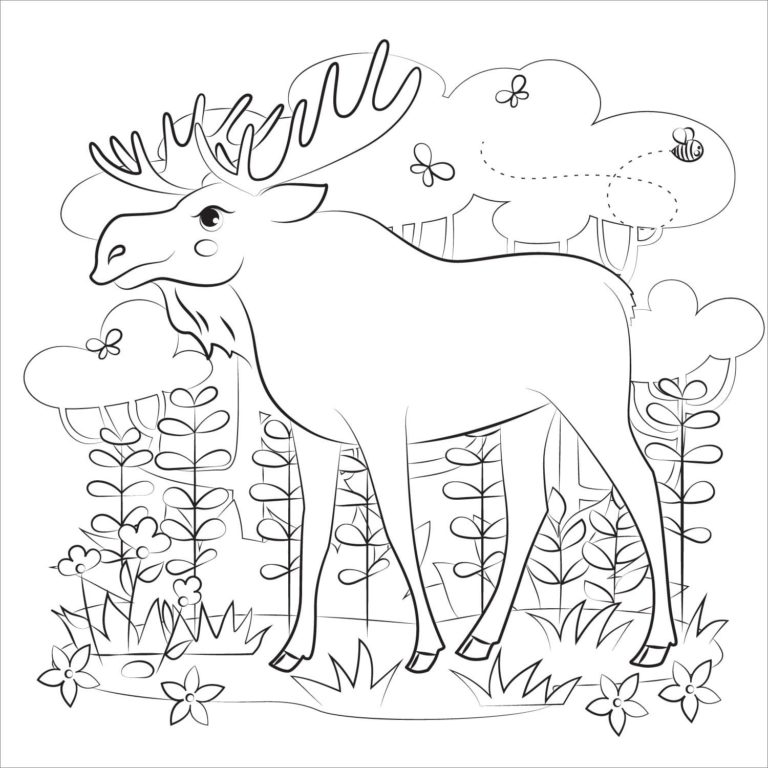 Forest Coloring Pages