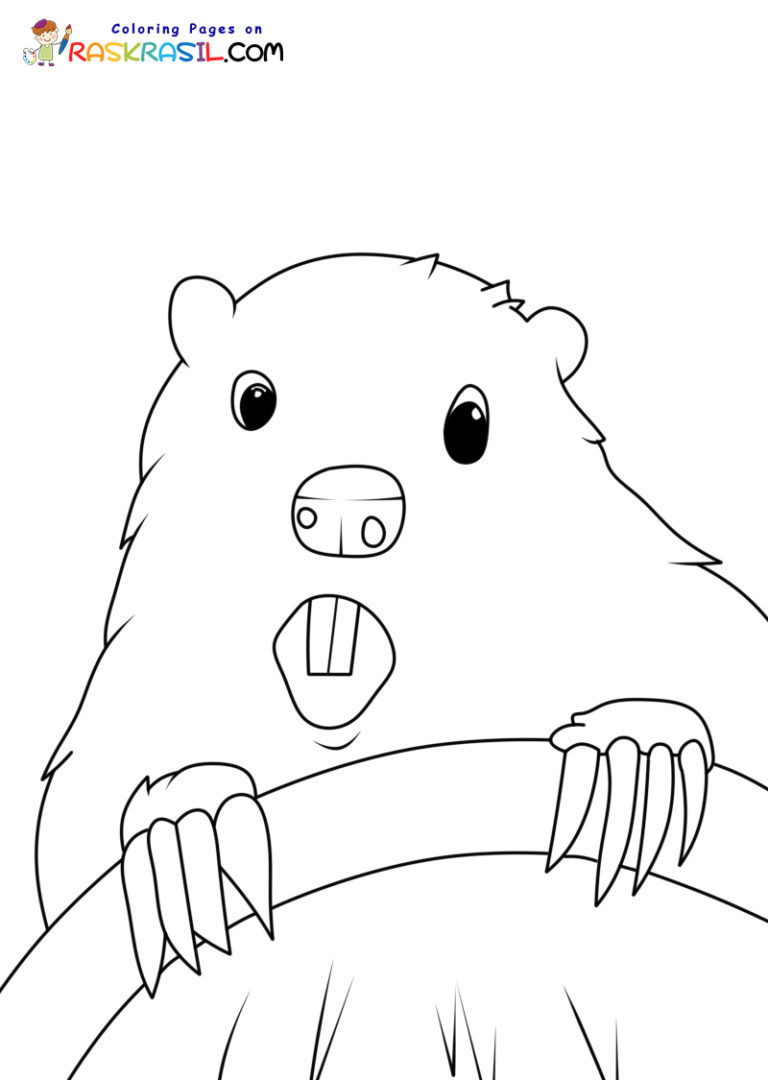 Dibujos de Día de la Marmota para Colorear