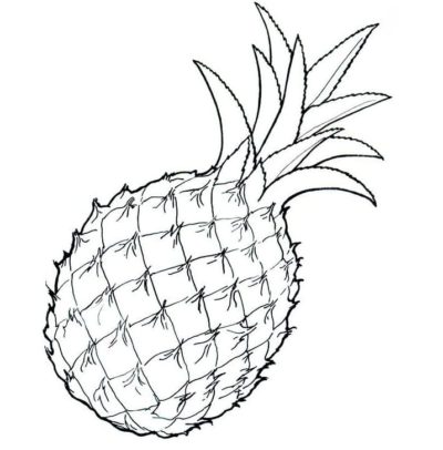 Coloriage Ananas à imprimer