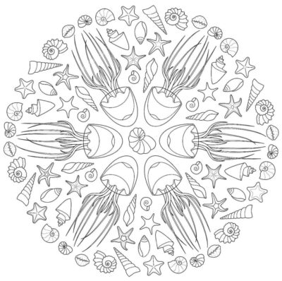 Seashell Coloring Pages
