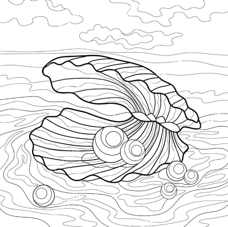 Seashell Coloring Pages