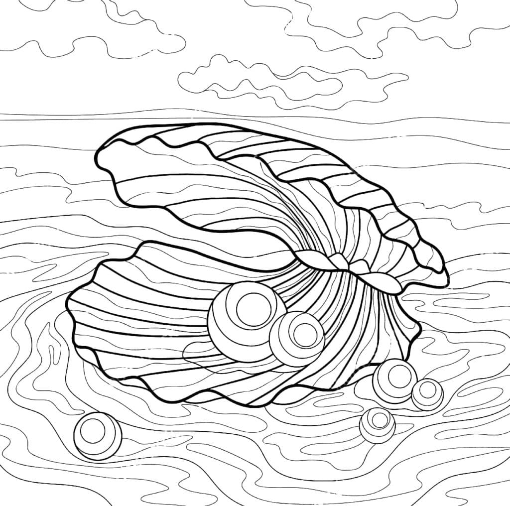 Seashell Coloring Pages