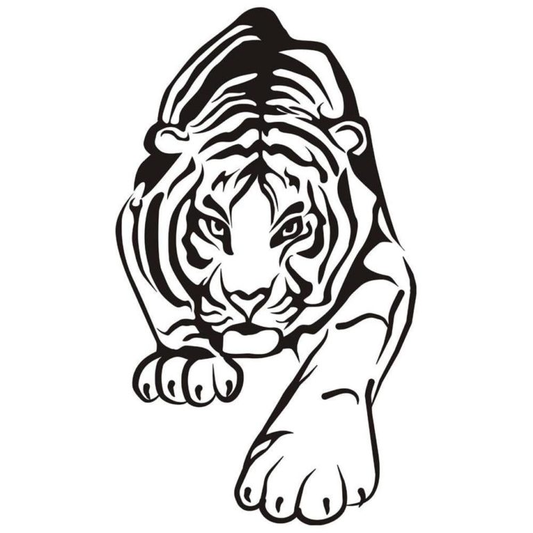 Ausmalbilder Tiger | Kostenlos Malvorlagen zum Ausdrucken