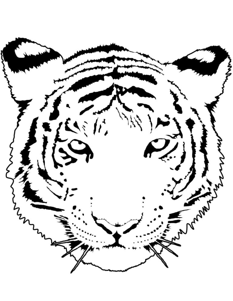 Disegni di Tigre da Colorare