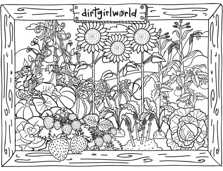 Dibujos de Jardines para Colorear
