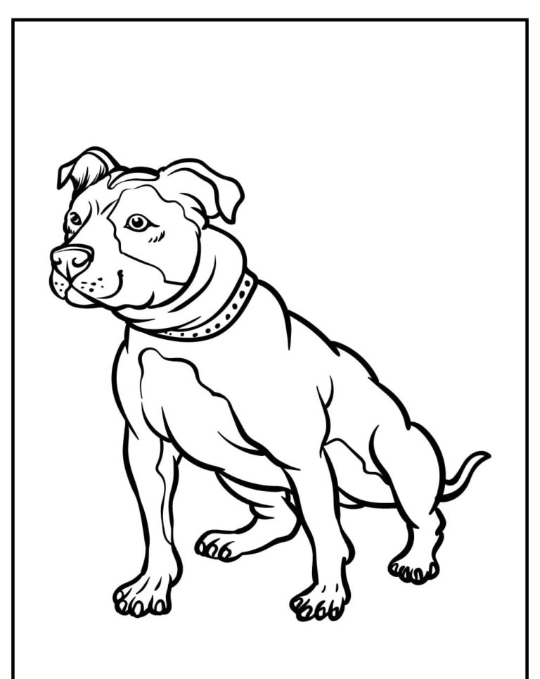 Pitbull Coloring Pages