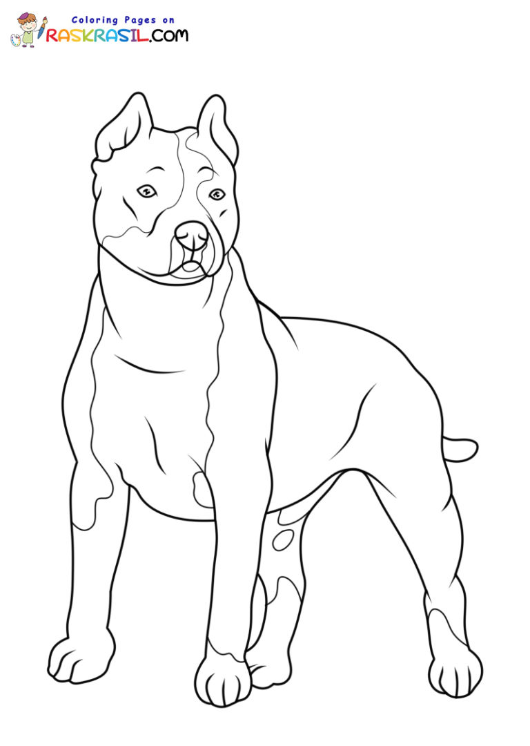 Pitbull Coloring Pages