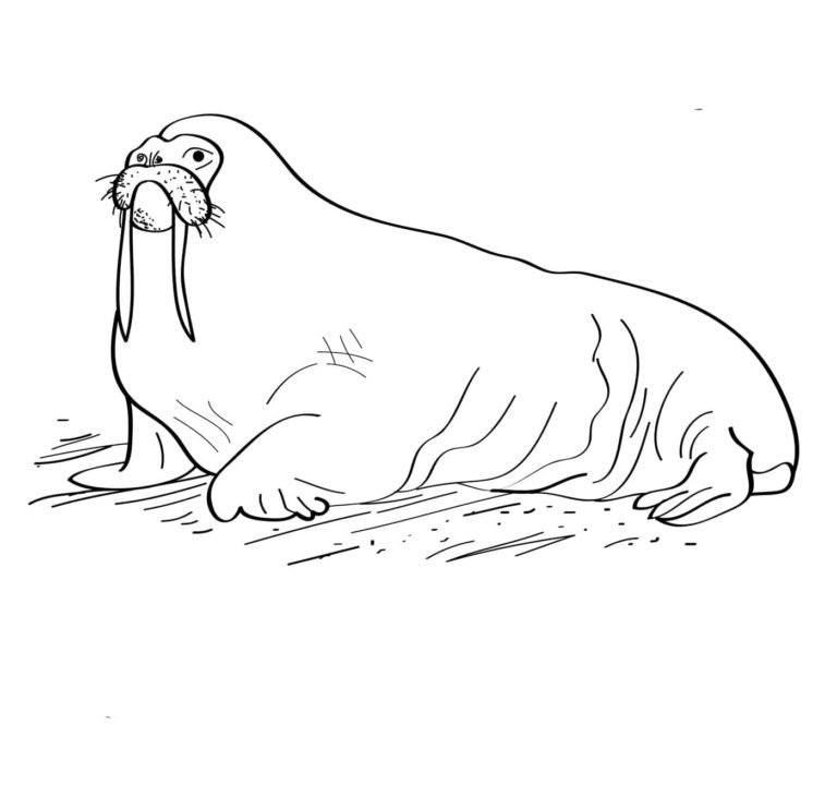 Alaska Coloring Pages