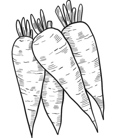 Carrot Coloring Pages