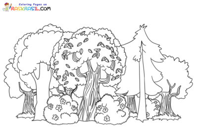 Coloriage Forêt à imprimer