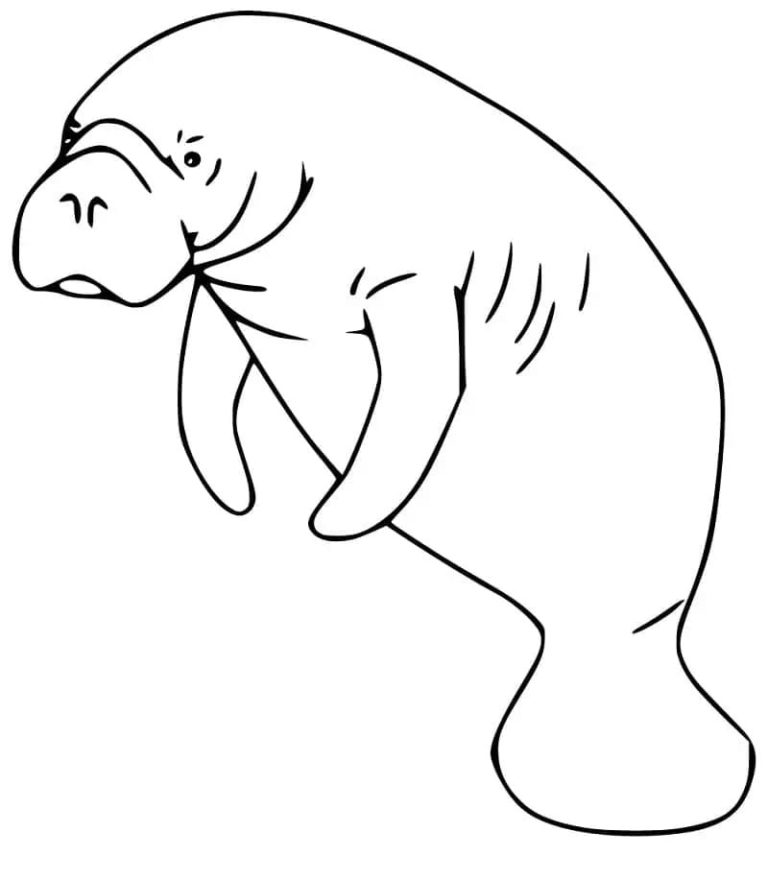 Dibujos de Manatí para Colorear