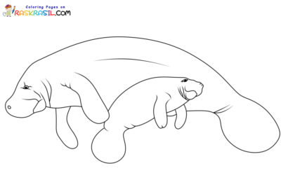 Dibujos de Manatí para Colorear