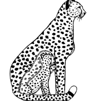 Ausmalbilder Leopard | Kostenlos Malvorlagen zum Ausdrucken