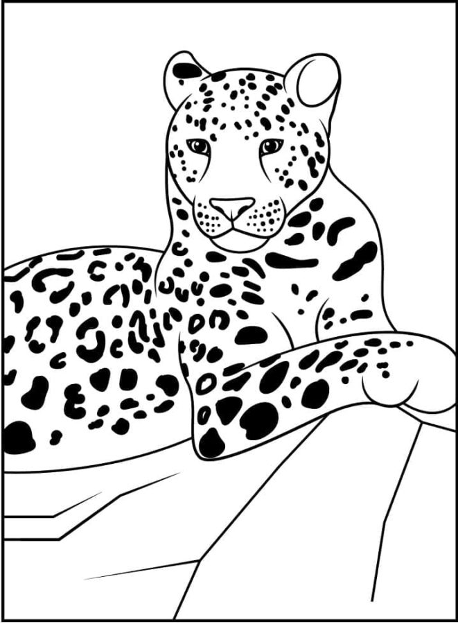 Ausmalbilder Leopard | Kostenlos Malvorlagen zum Ausdrucken