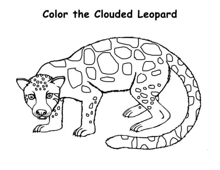 Ausmalbilder Leopard | Kostenlos Malvorlagen zum Ausdrucken