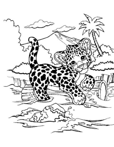 Ausmalbilder Leopard | Kostenlos Malvorlagen zum Ausdrucken