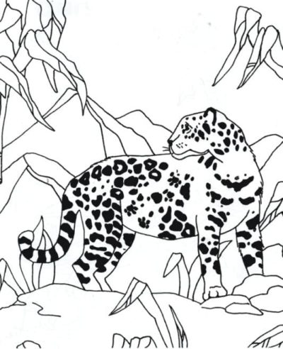 Ausmalbilder Leopard | Kostenlos Malvorlagen zum Ausdrucken