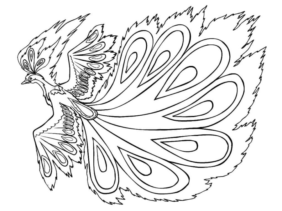 Dibujos de Fénix para Colorear