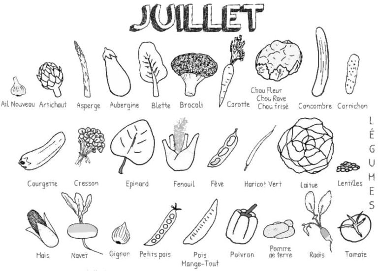Coloriage Juillet à imprimer