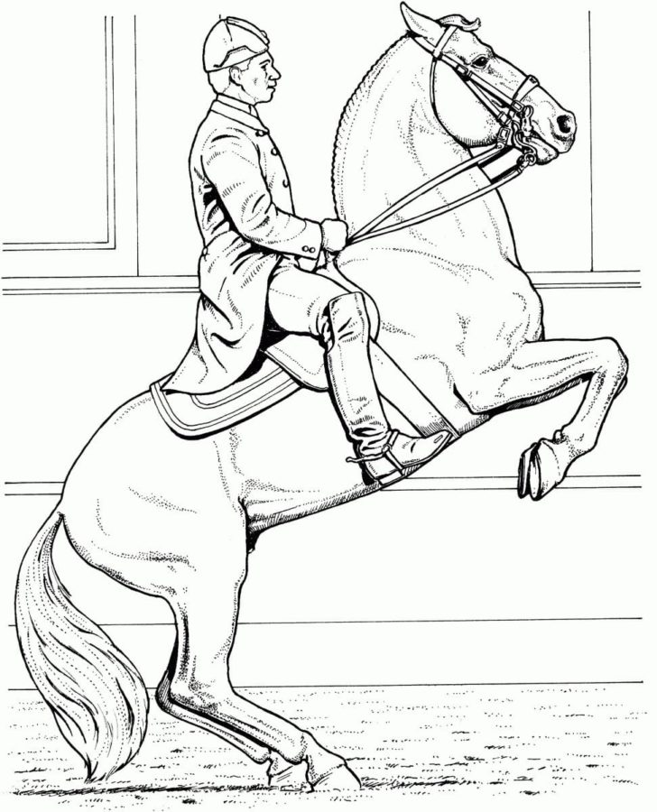 Ausmalbilder Pferde und Reiten | Malvorlagen zum Ausdrucken