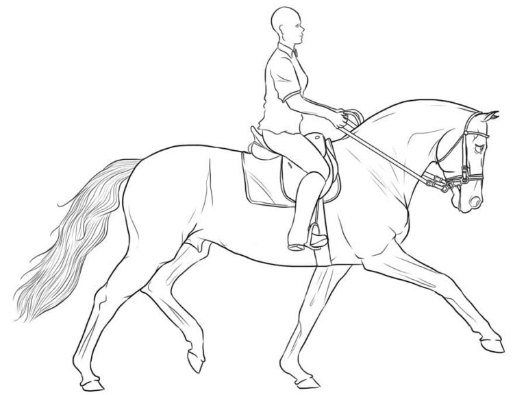 Horse And Rider Coloring Pages