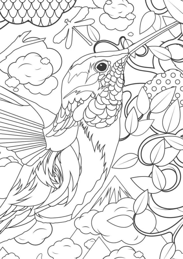 Dibujos de Colibrí para Colorear