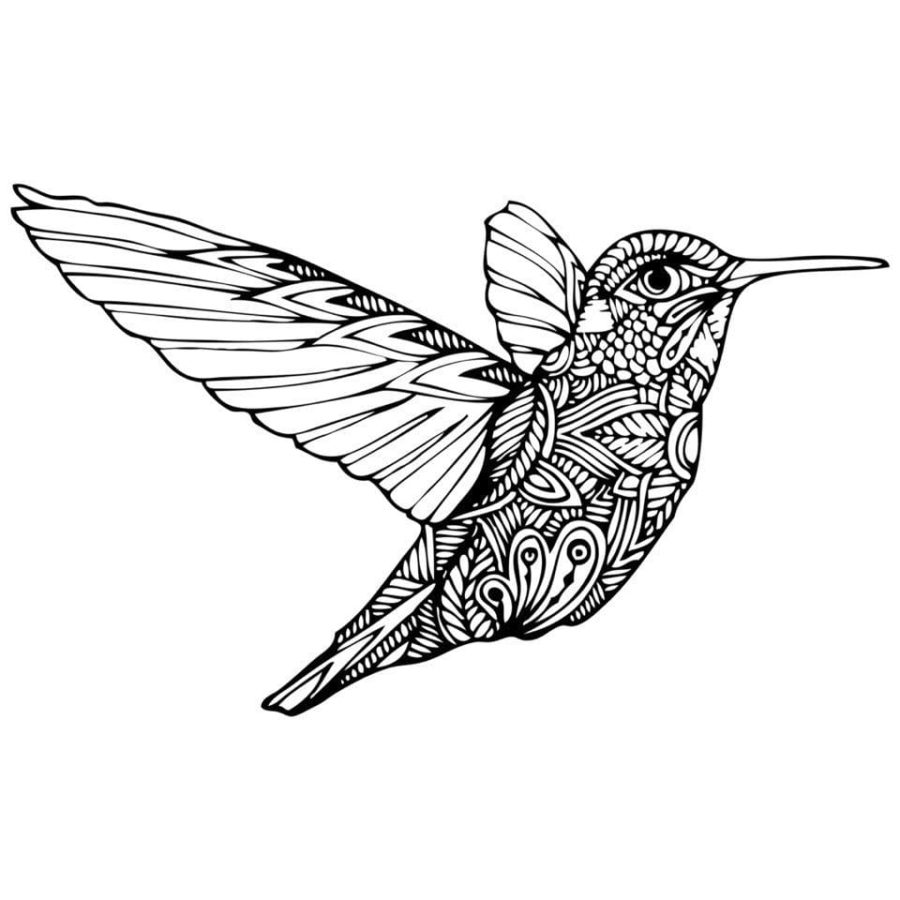 Hummingbird Coloring Pages