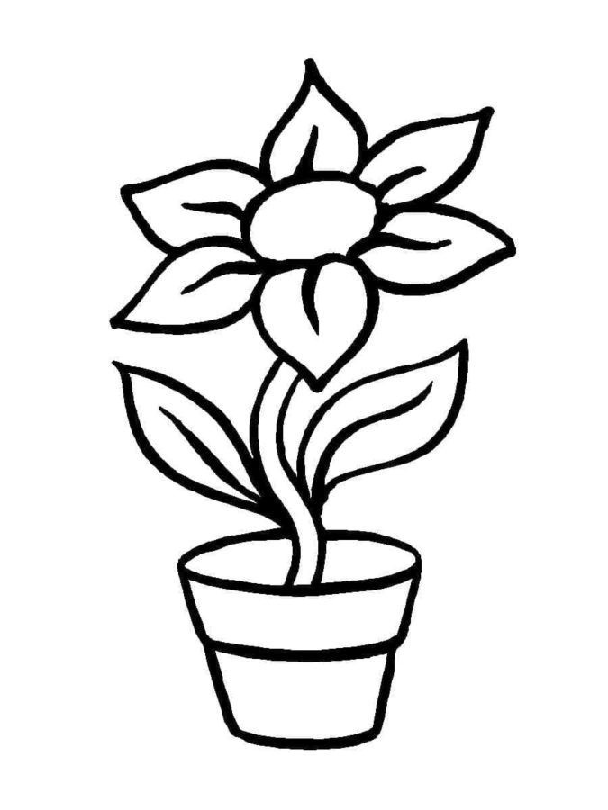 Desenhos de Plantas para Colorir