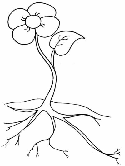 Disegni di Piante da Colorare