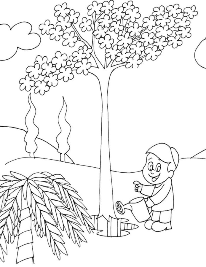 Tu Bishvat Coloring Pages