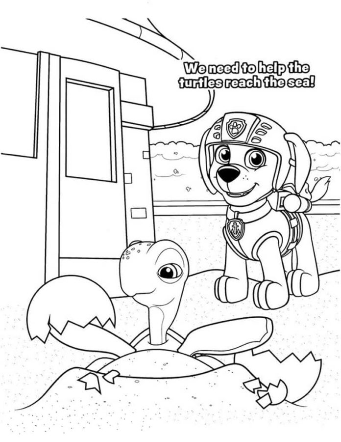 Zuma Paw Patrol Coloring Pages
