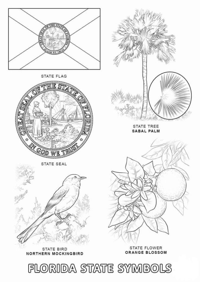 Florida Coloring Pages