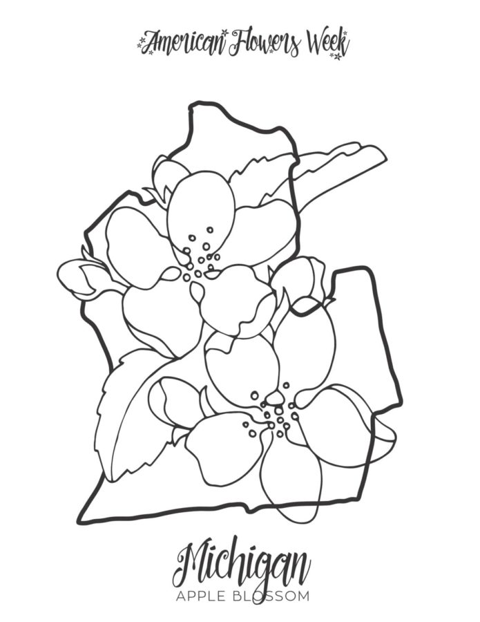 Michigan Coloring Pages