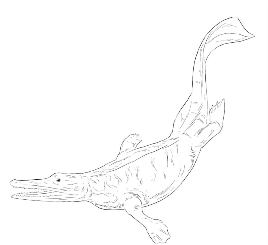 Mosasaurus Coloring Pages