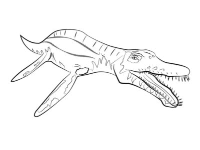 Dibujos de Mosasaurus para Colorear