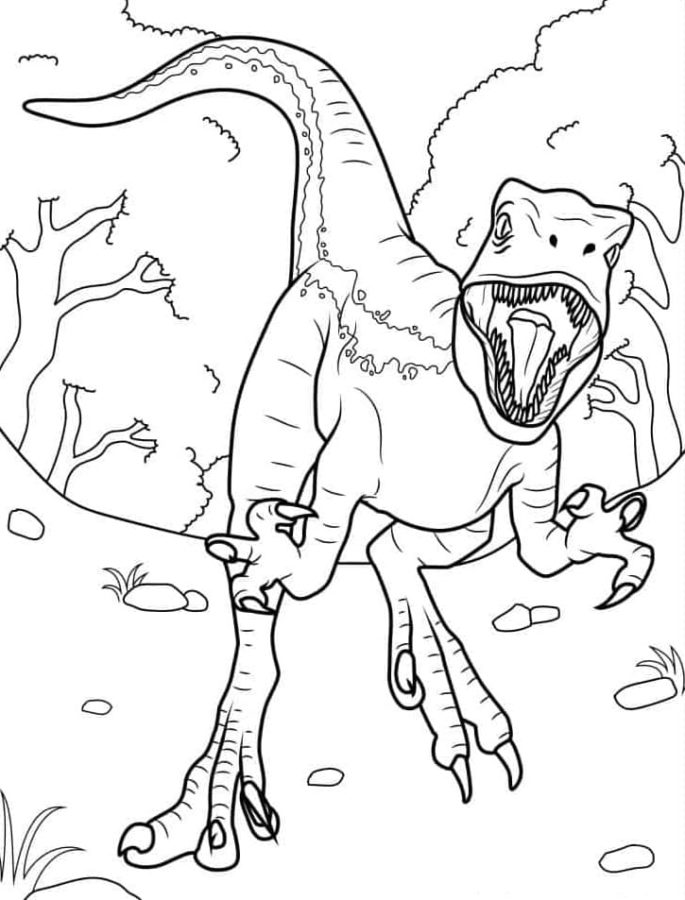 Dibujos de Velociraptor para Colorear