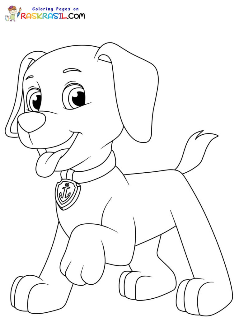 Coloriage de Zuma à imprimer