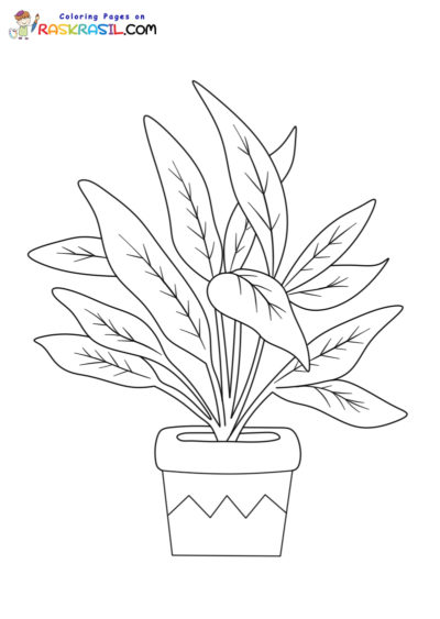 Desenhos de Plantas para Colorir